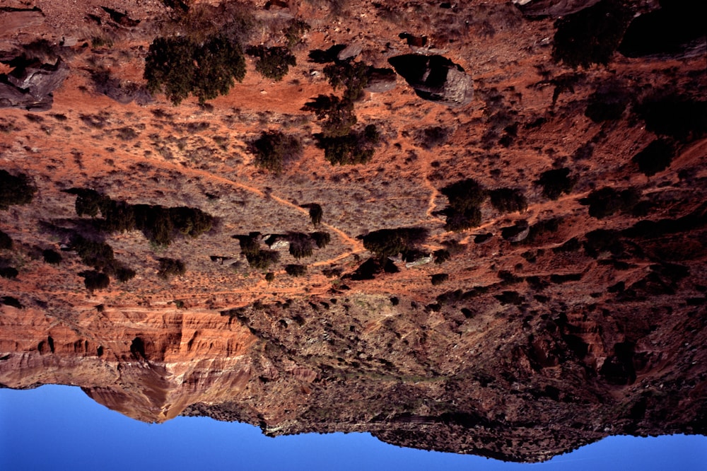 Photo Essay: Jacob Love's State | Dazed