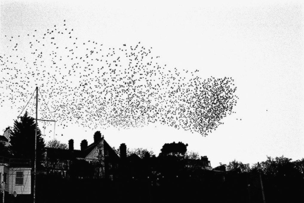 Angst: Art, Photography & Counterculture | Dazed