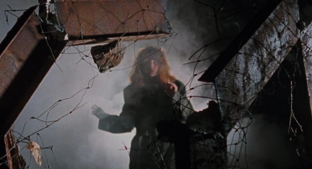 Top ten forest horror films | Dazed