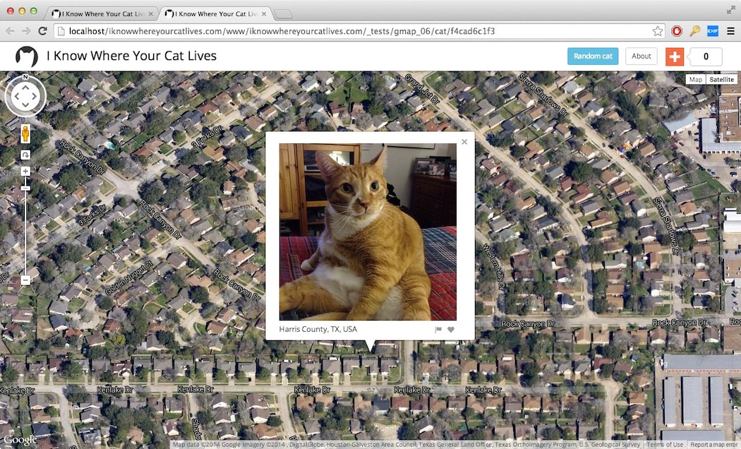 The internet knows where your cat lives | Dazed