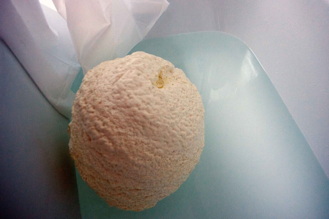 Take a lick at this | Dazed