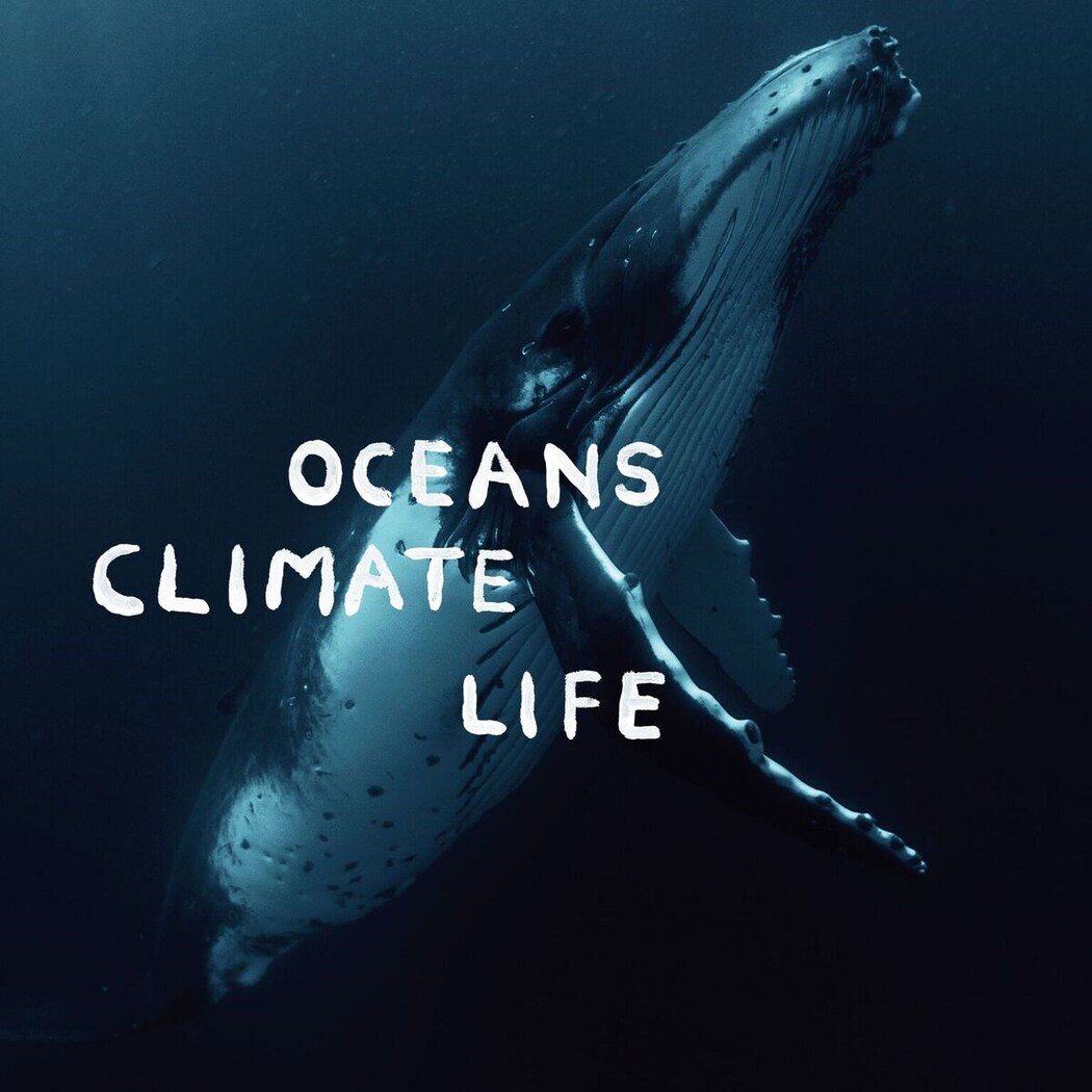 We need to save our oceans to save this planet – watch now | Dazed