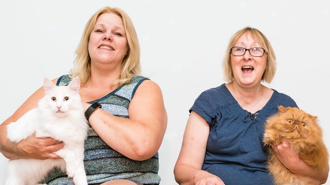 This new documentary about cat pageants proves joy still exists | Dazed