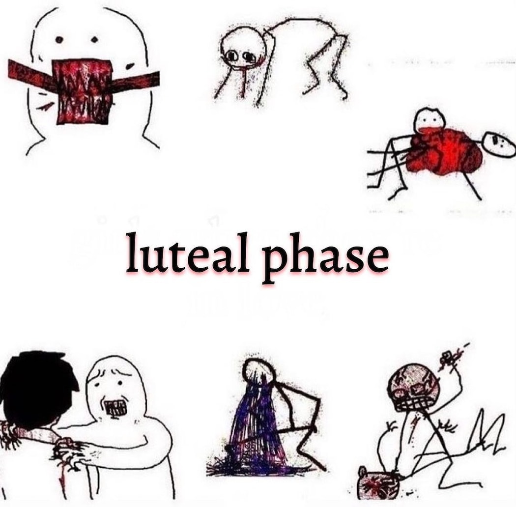 Does the luteal phase of your menstrual cycle really make you ugly? | Dazed