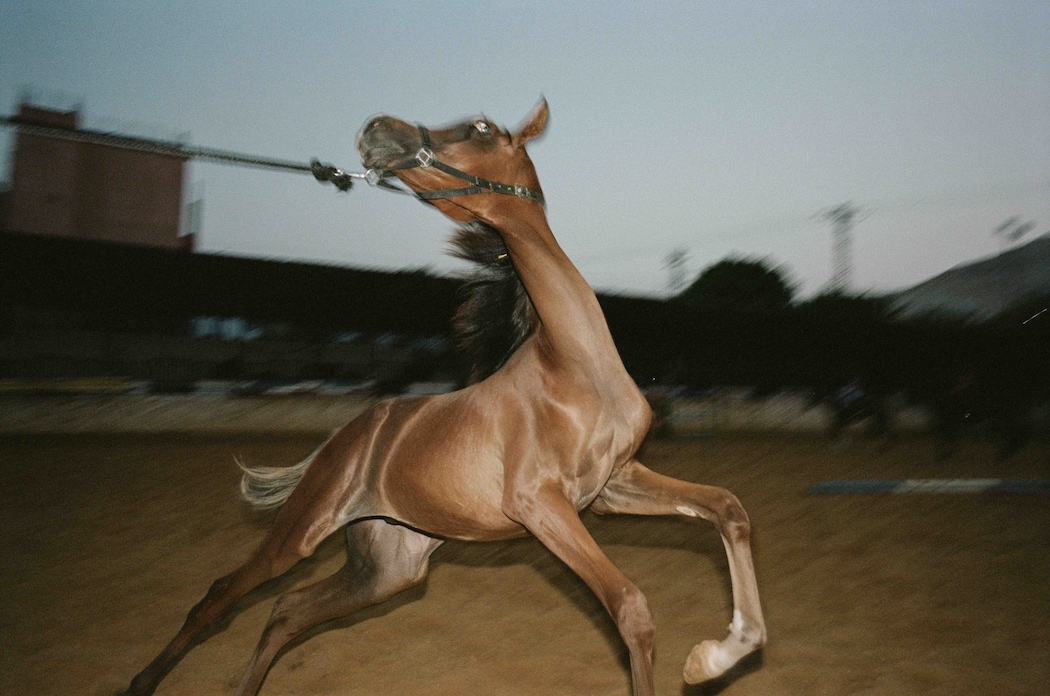 Adam Rouhana’s affecting portraits of Palestinian life | Dazed