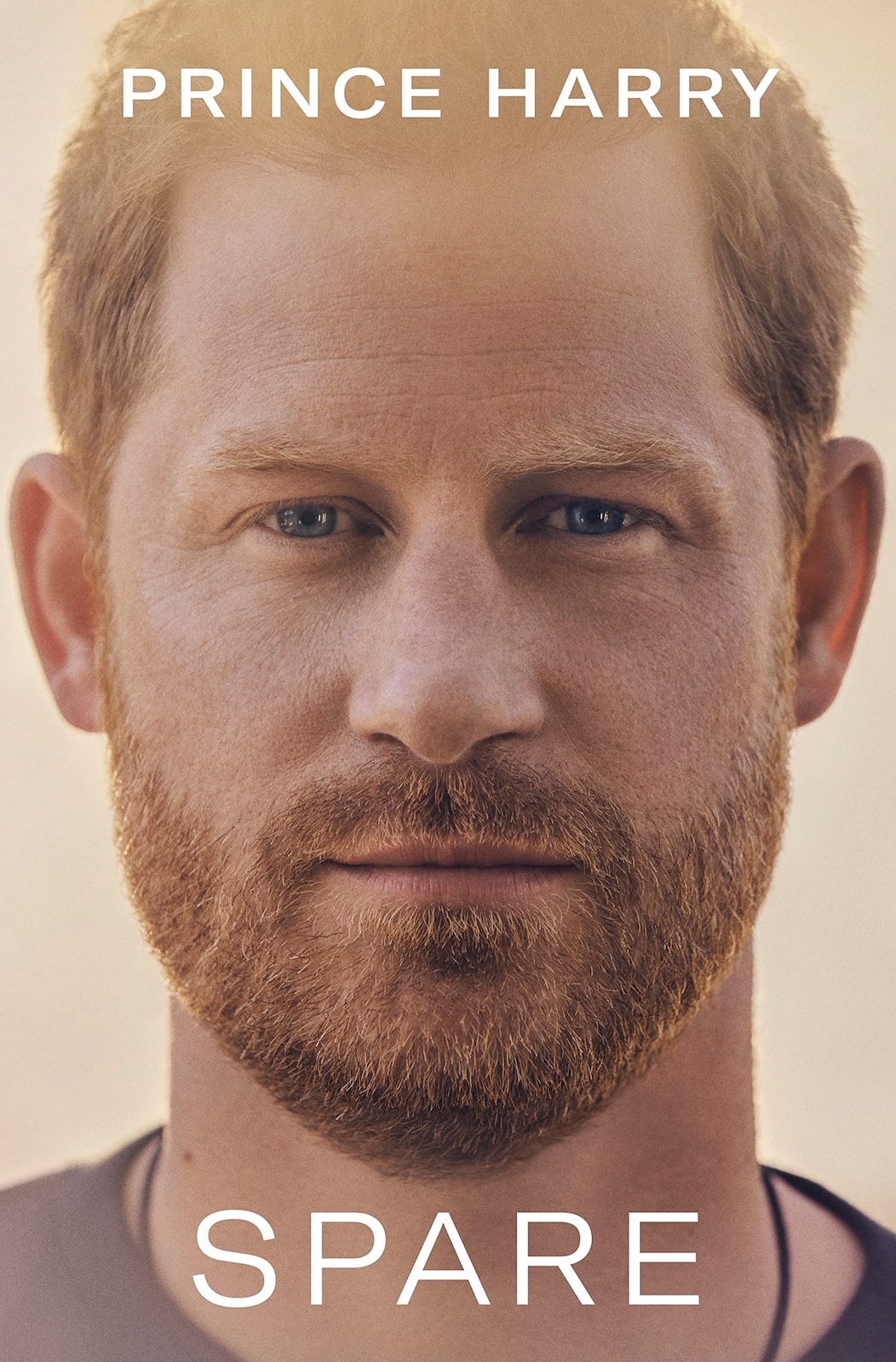 I read Prince Harry’s Spare so you don’t have to | Dazed