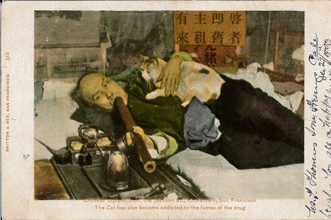 The Opium Exhibition | Dazed