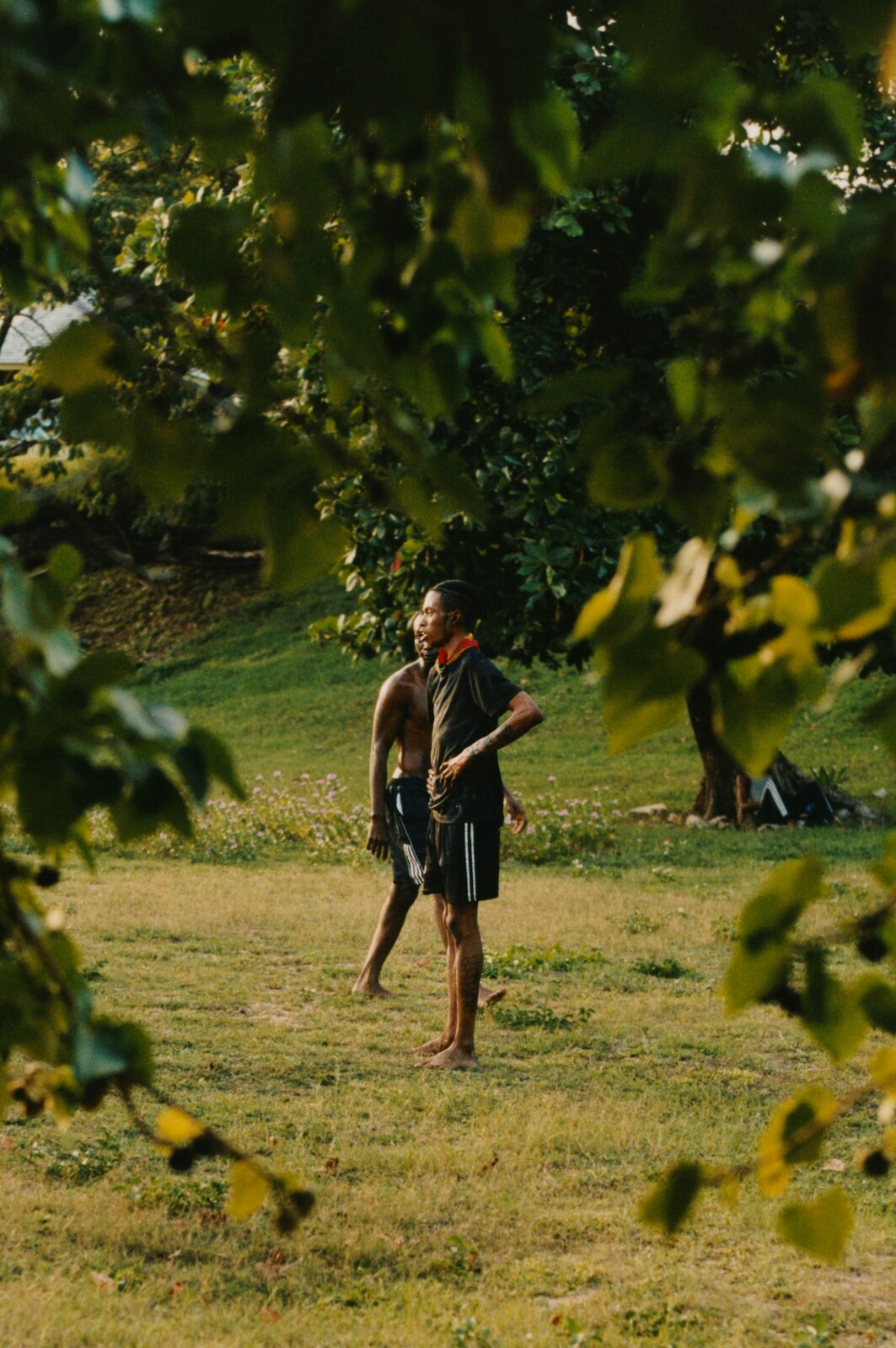 Jeano Edwards rediscovers himself in a visual love letter to Jamaica ...