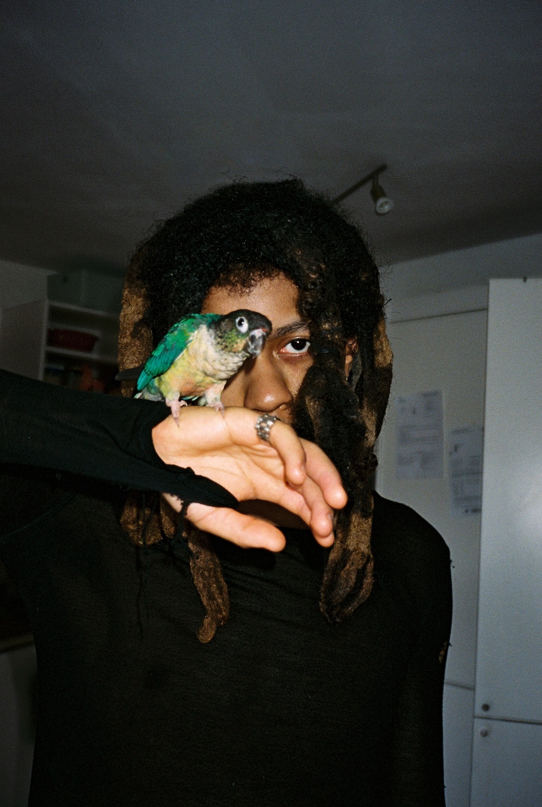 Niall Ashley’s internet obsessions: fighting games and synthesiser envy ...