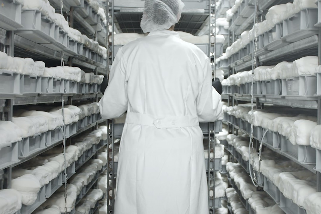 adidas’s Stan Smith Mylo | Dazed