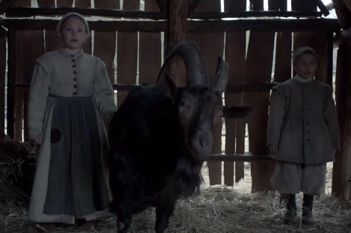 The Witch will make you see goats in a terrifying new light | Dazed