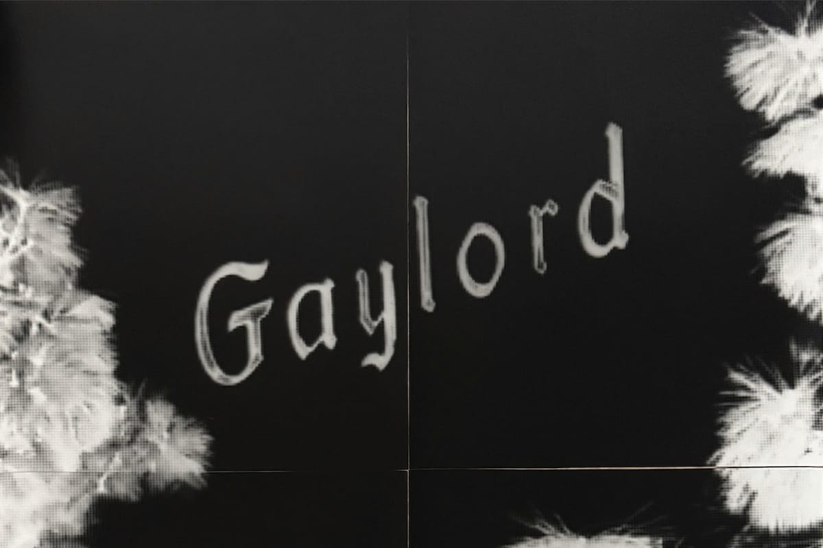 Peter Tomka, Bachelor Suite | Dazed