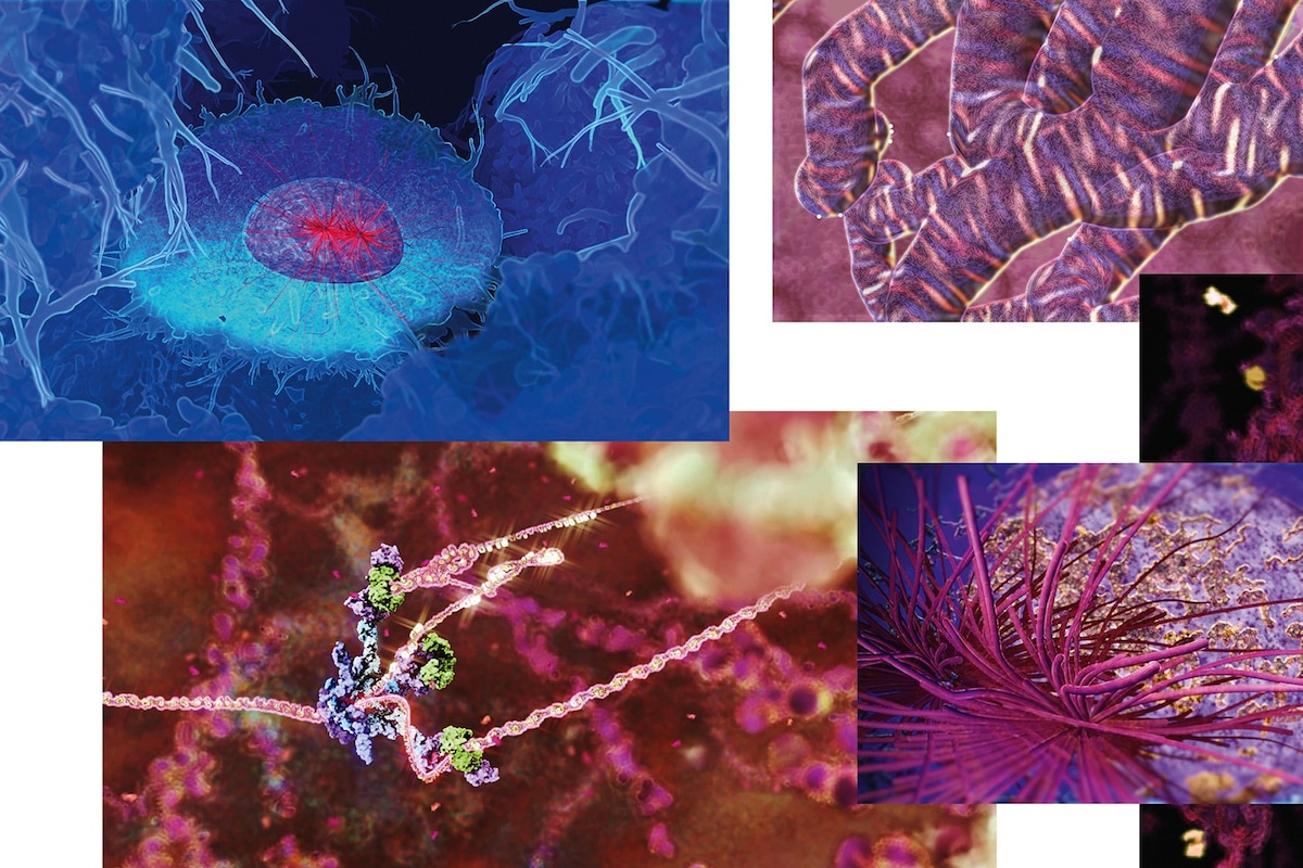 Inside Biophilia | Dazed