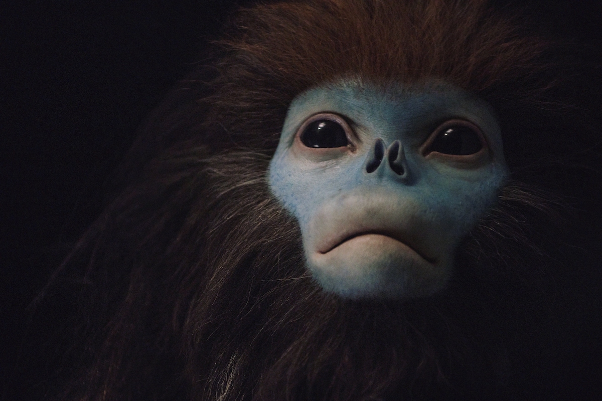 The trippy post-apocalyptic sci-fi starring a blue monkey | Dazed