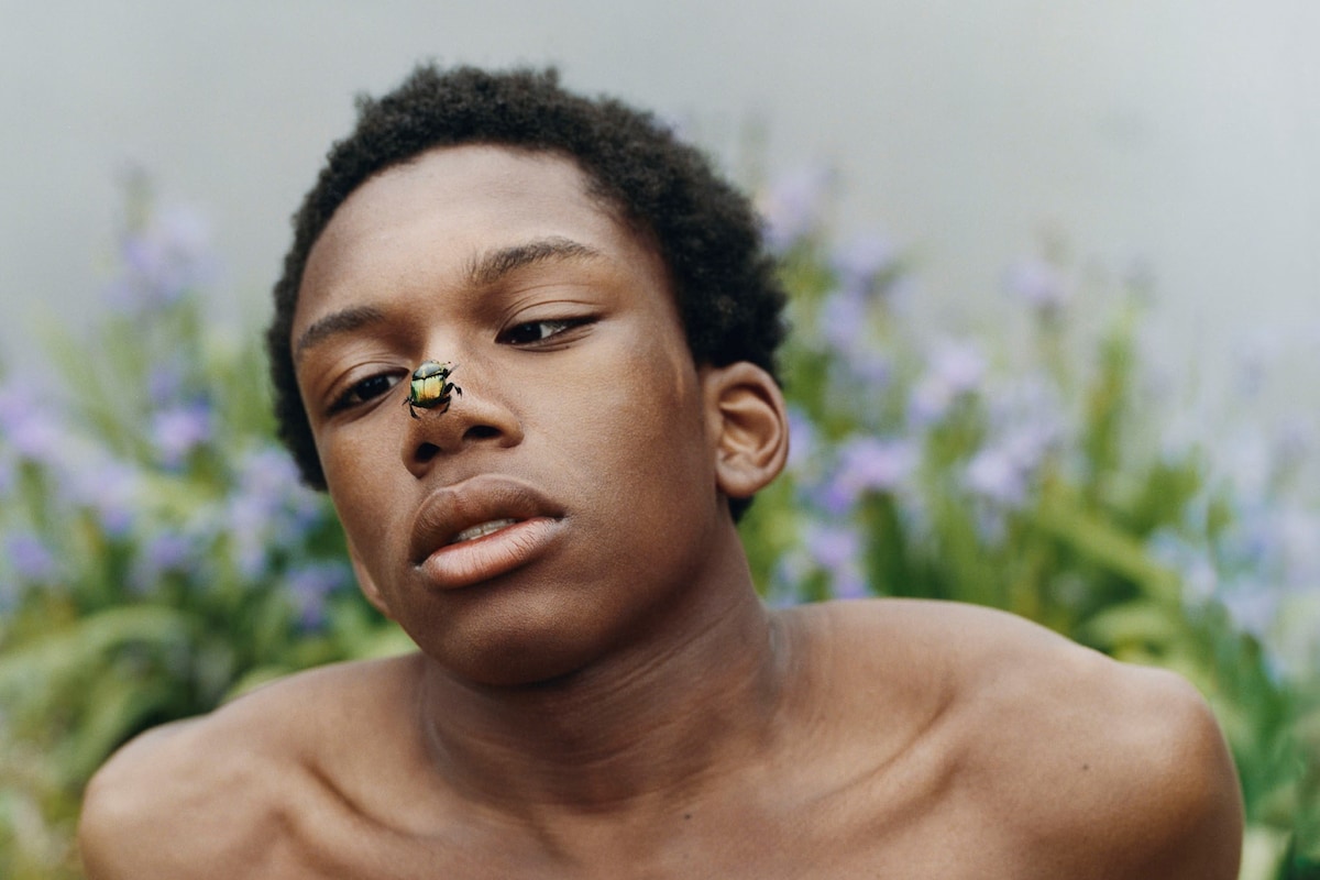 Fragile Beauty brings together the world’s most memorable photography ...