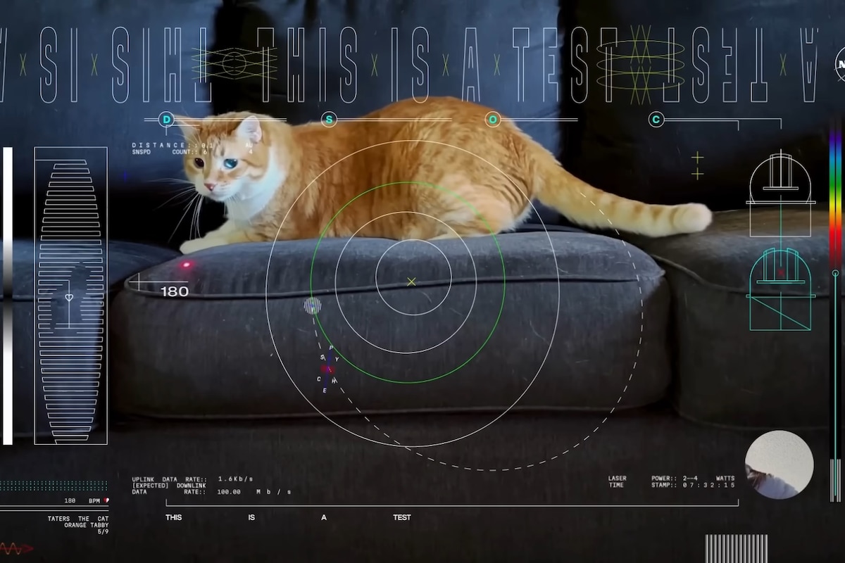 Why is NASA beaming cat videos to Earth from deep space? | Dazed