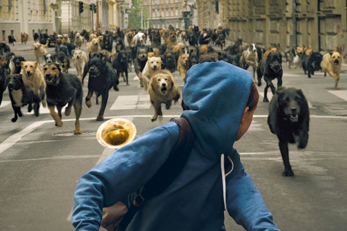 Watch a pack of rabid dogs terrorise a city | Dazed