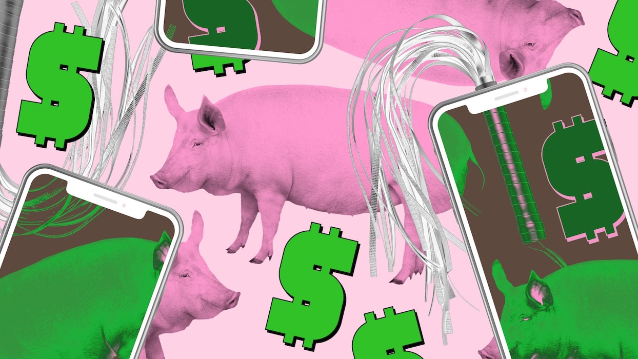 How paypigs have been funding their fetish during the pandemic | Dazed