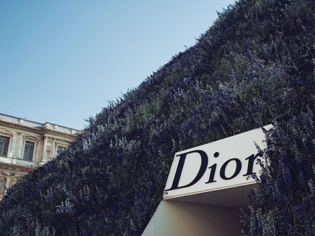 Dior SS16 | Dazed