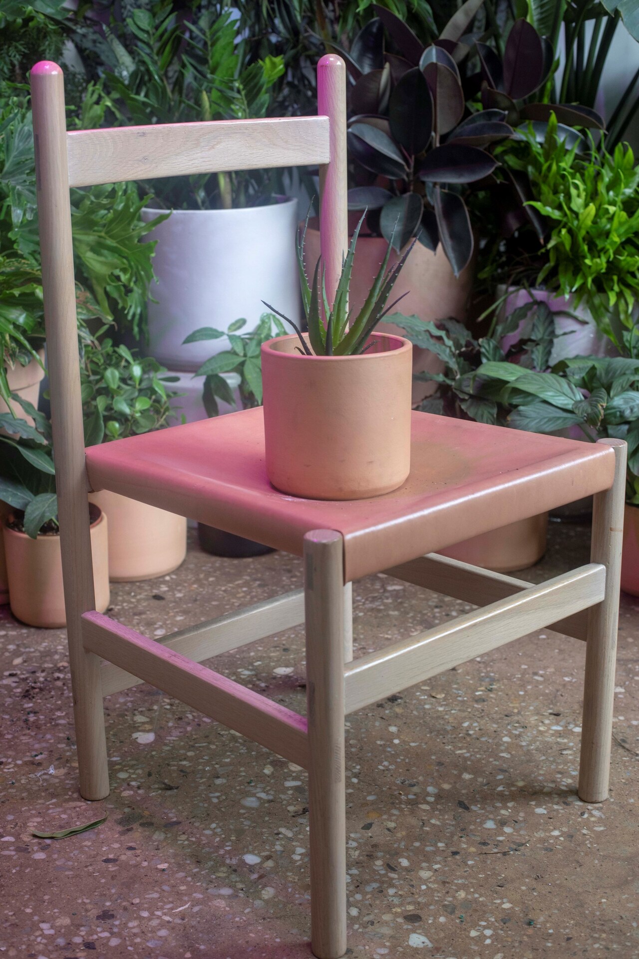 The little known wellness benefits of house plants | Dazed