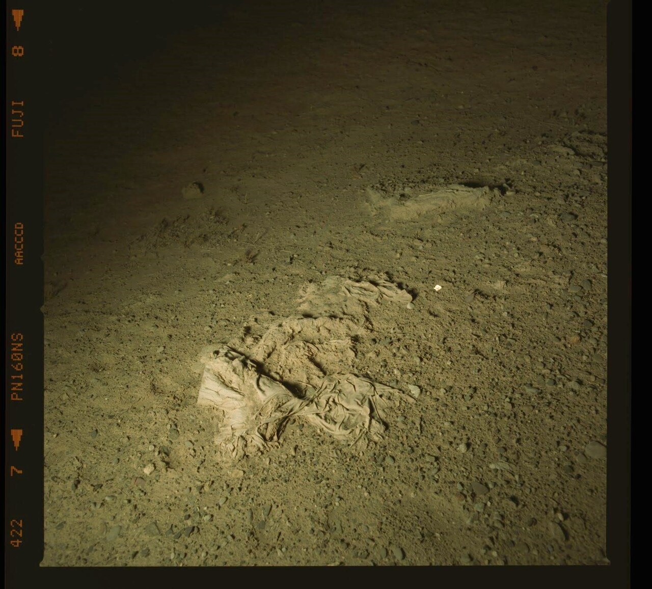 Meet the inspiring winners of the CHANEL Next Prize | Dazed