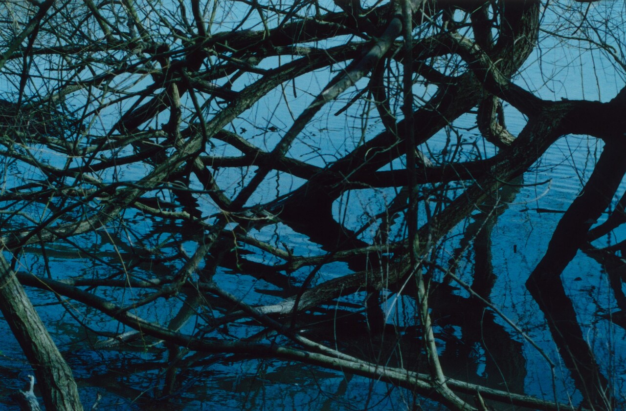 In photos: Daisy Walker is the fashion photographer dying to touch ...