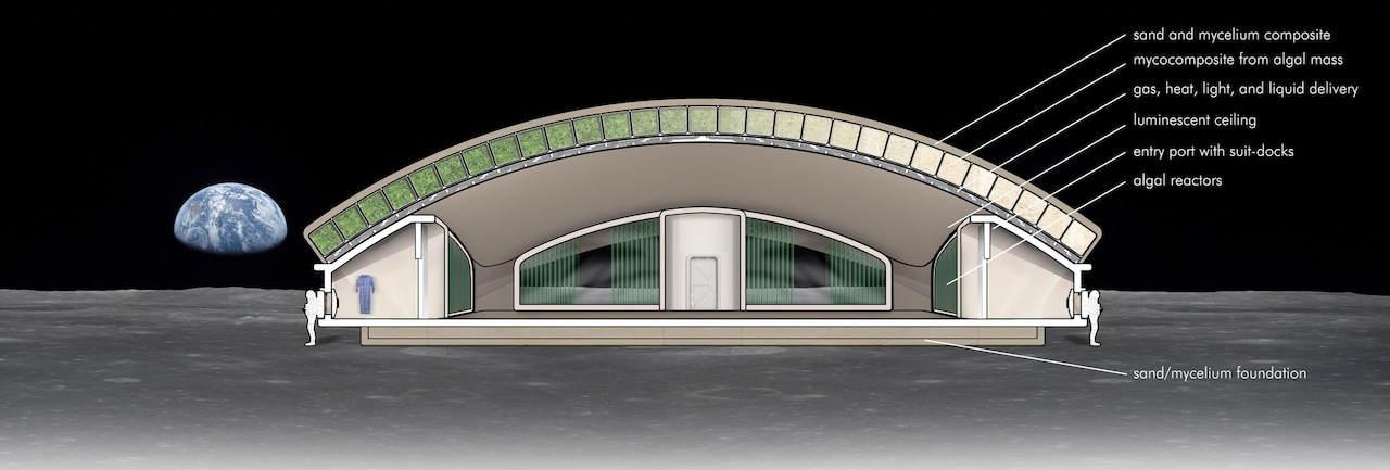 When we live on Mars, we’ll make our cities out of mushrooms | Dazed