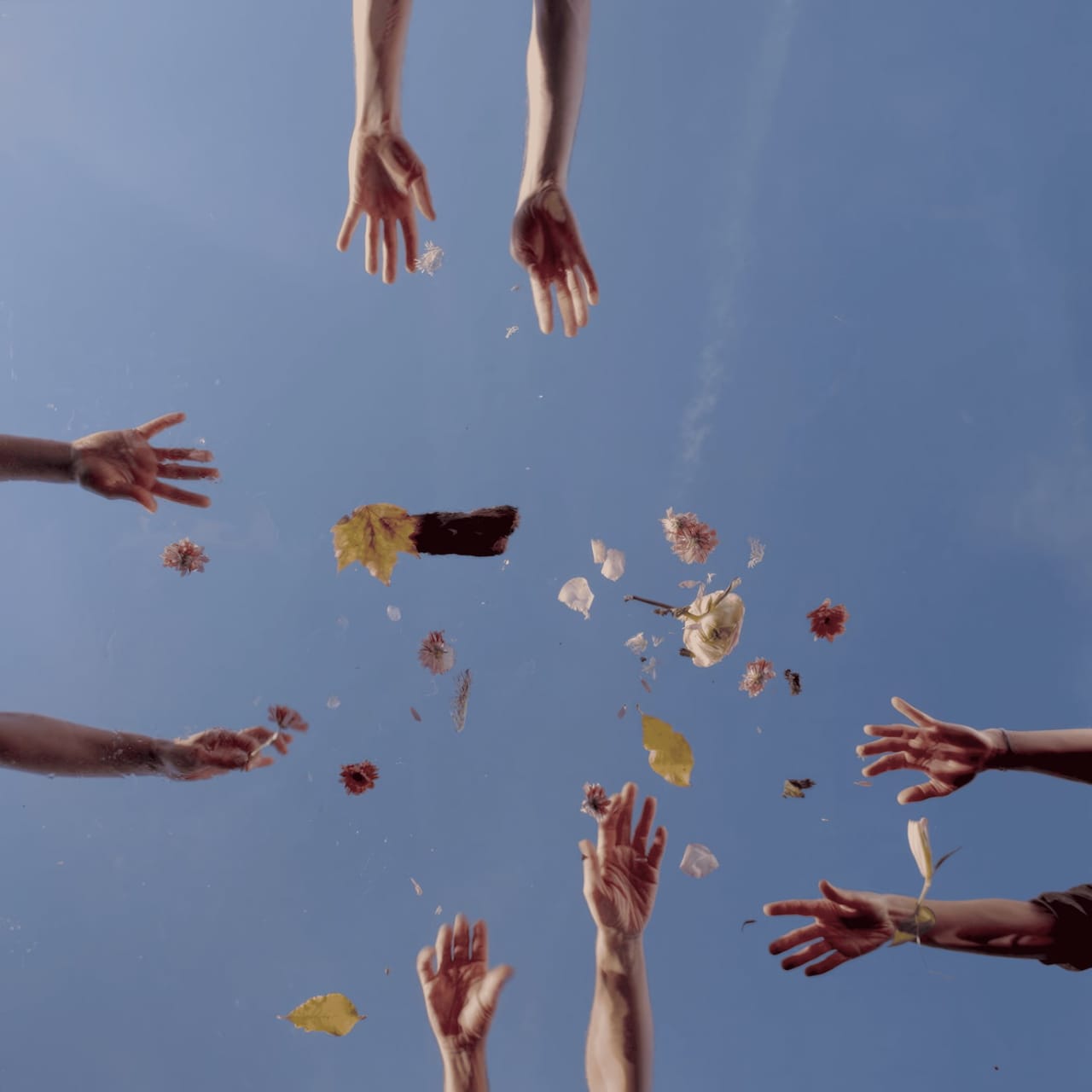 Laure Prouvost explores humanity’s uncertain future in a quantum cosmos | Dazed