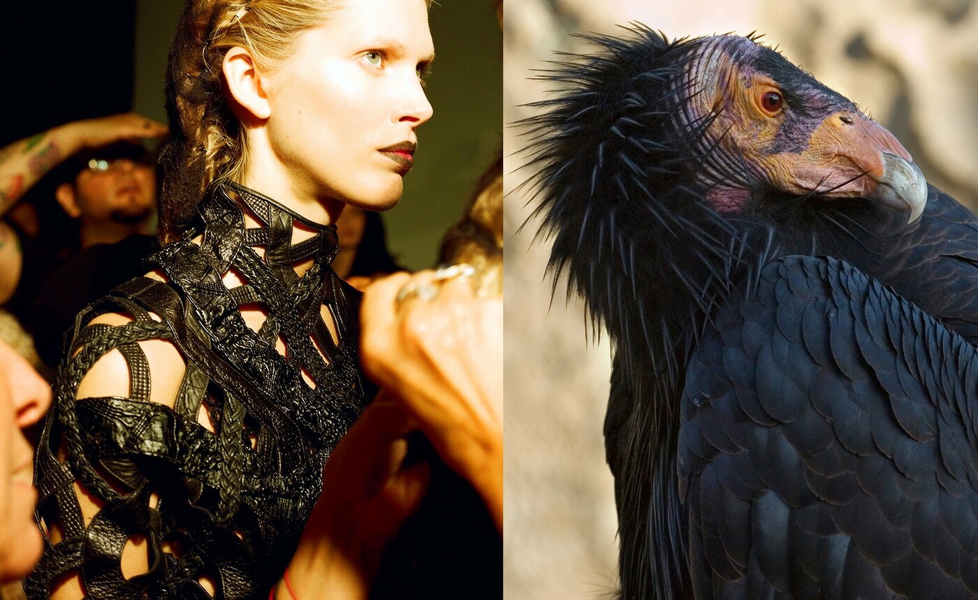 The childhood inspirations behind Rodarte | Dazed