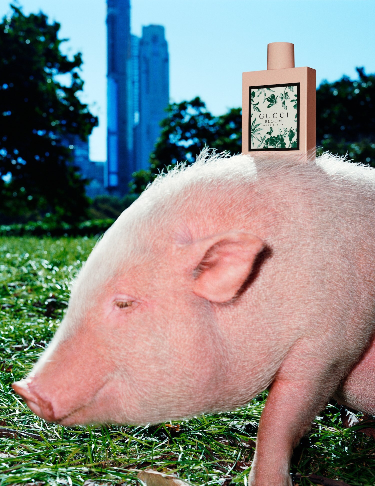 Gucci Year of the Pig collection | Dazed