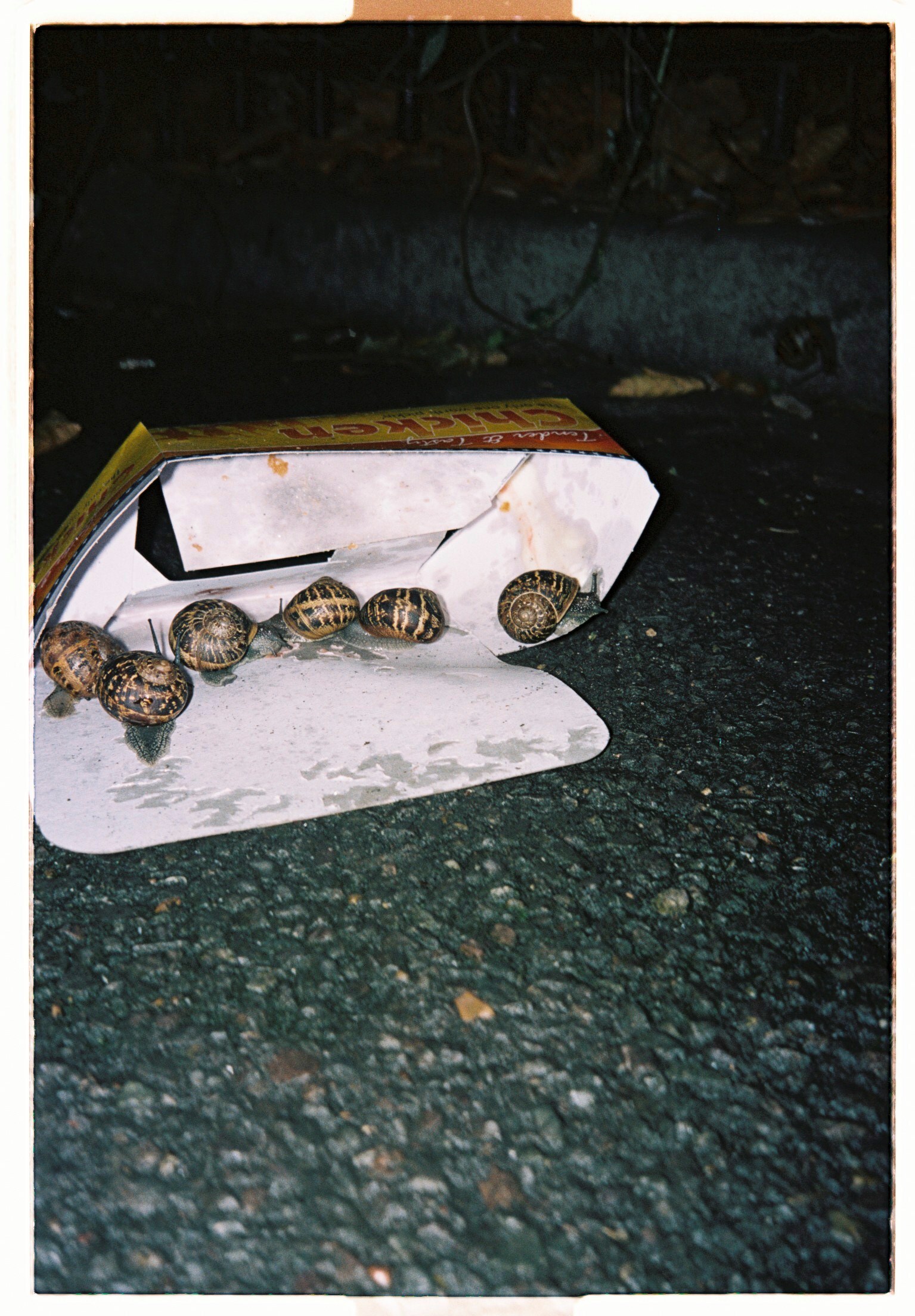 A brilliant 21st century take on still life | Dazed