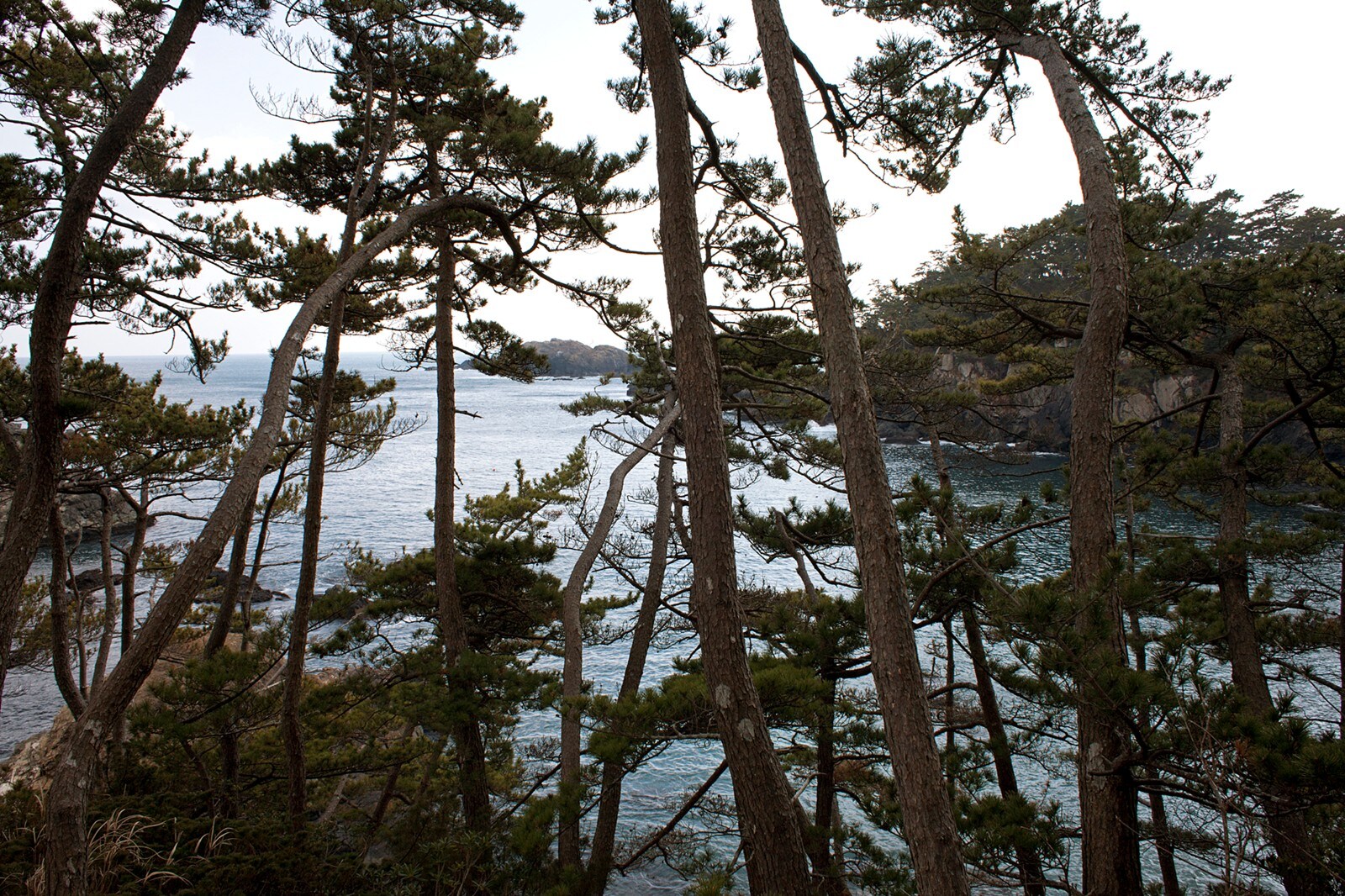 Sam Seager's Broken Things | Dazed