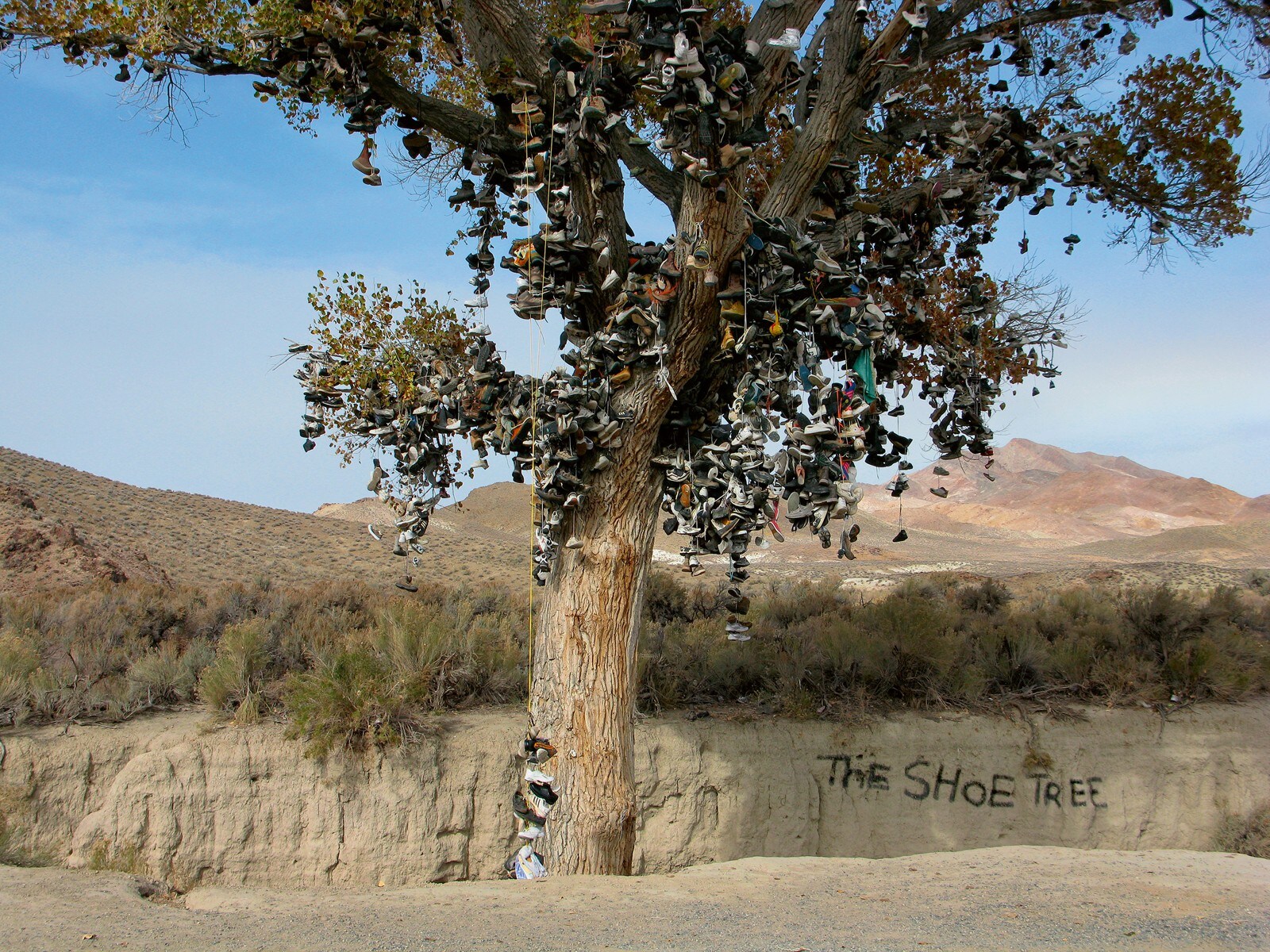 Wild art picks | Dazed