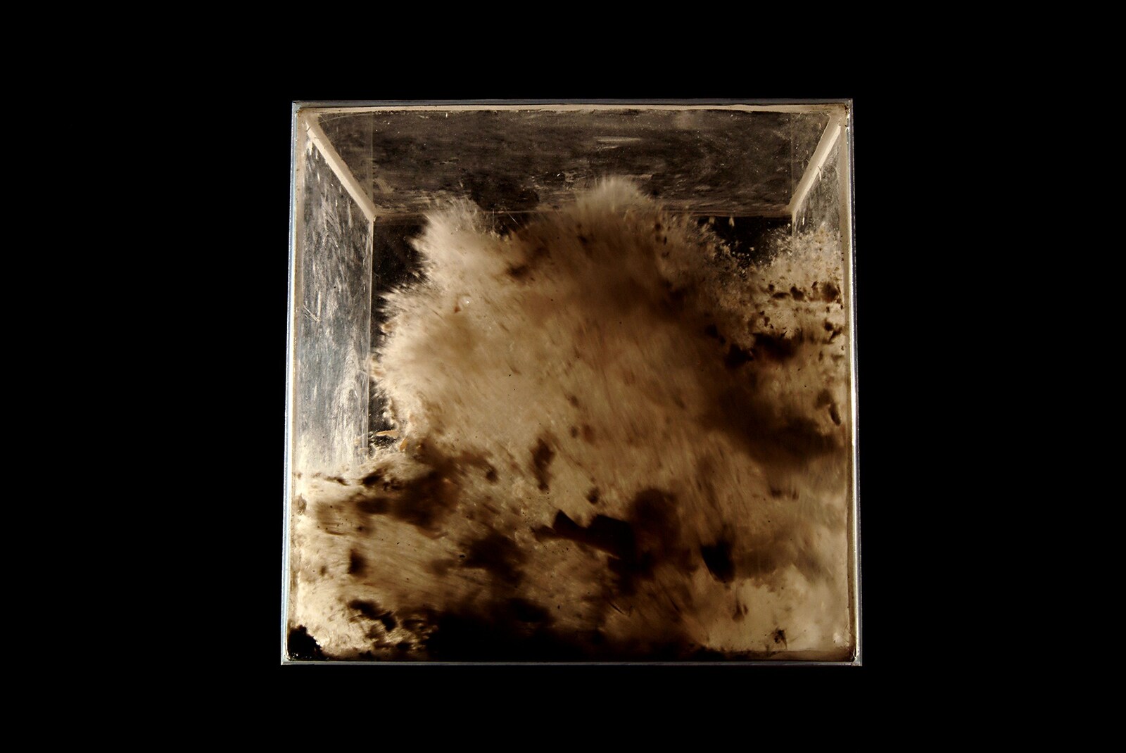 Marisa Olson takes us to a parallel universe with new show | Dazed