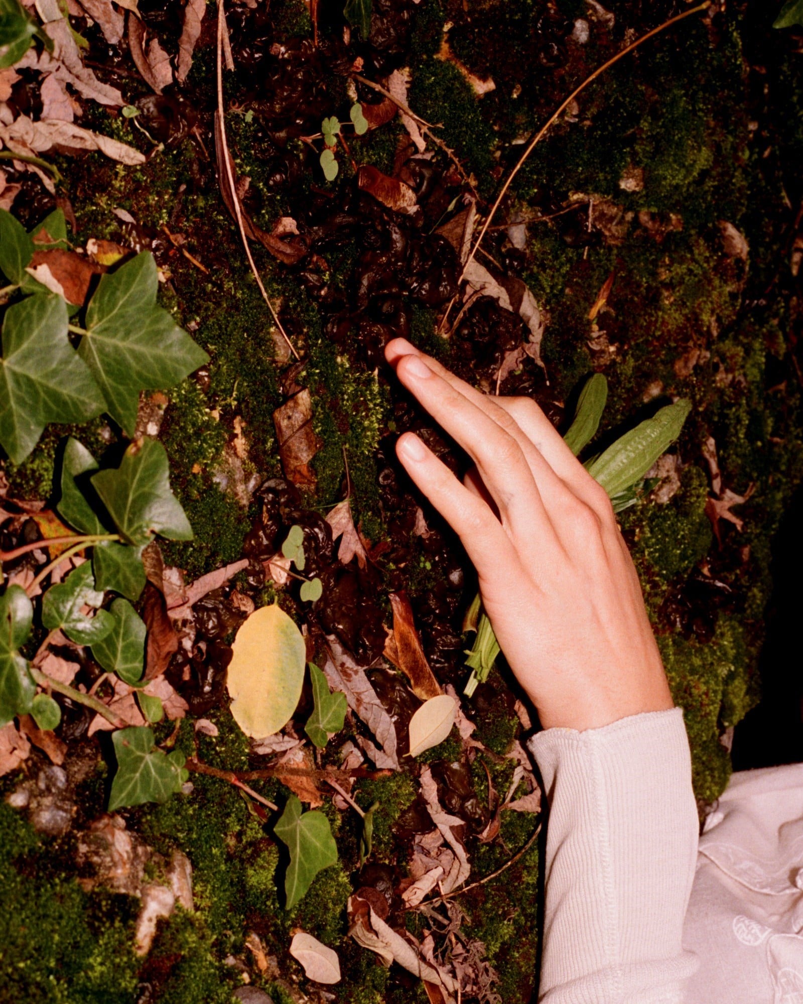 8 rituals to celebrate Samhain AKA the Witches’ New Year | Dazed