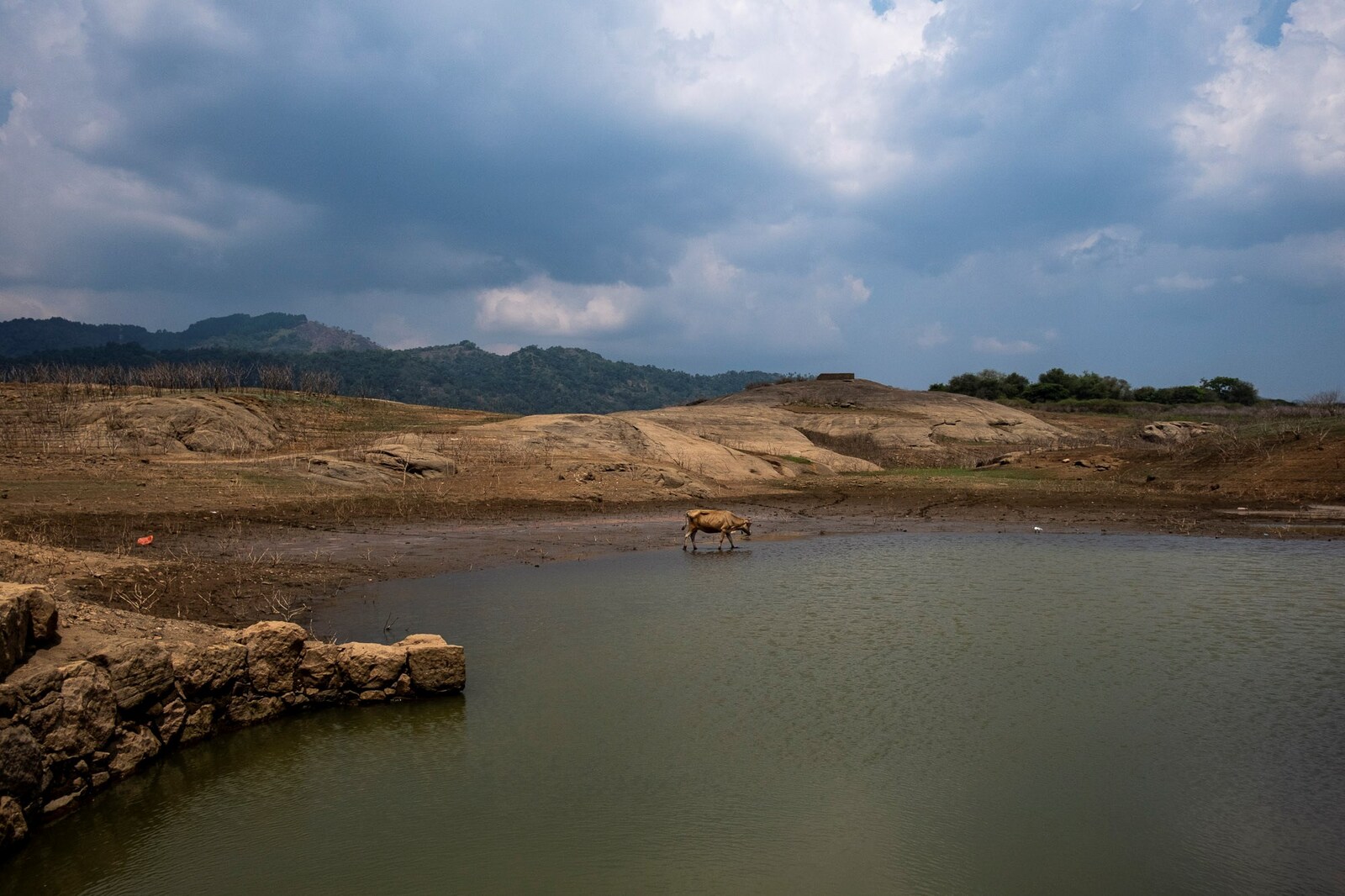 Tashiya de Mel | Dazed