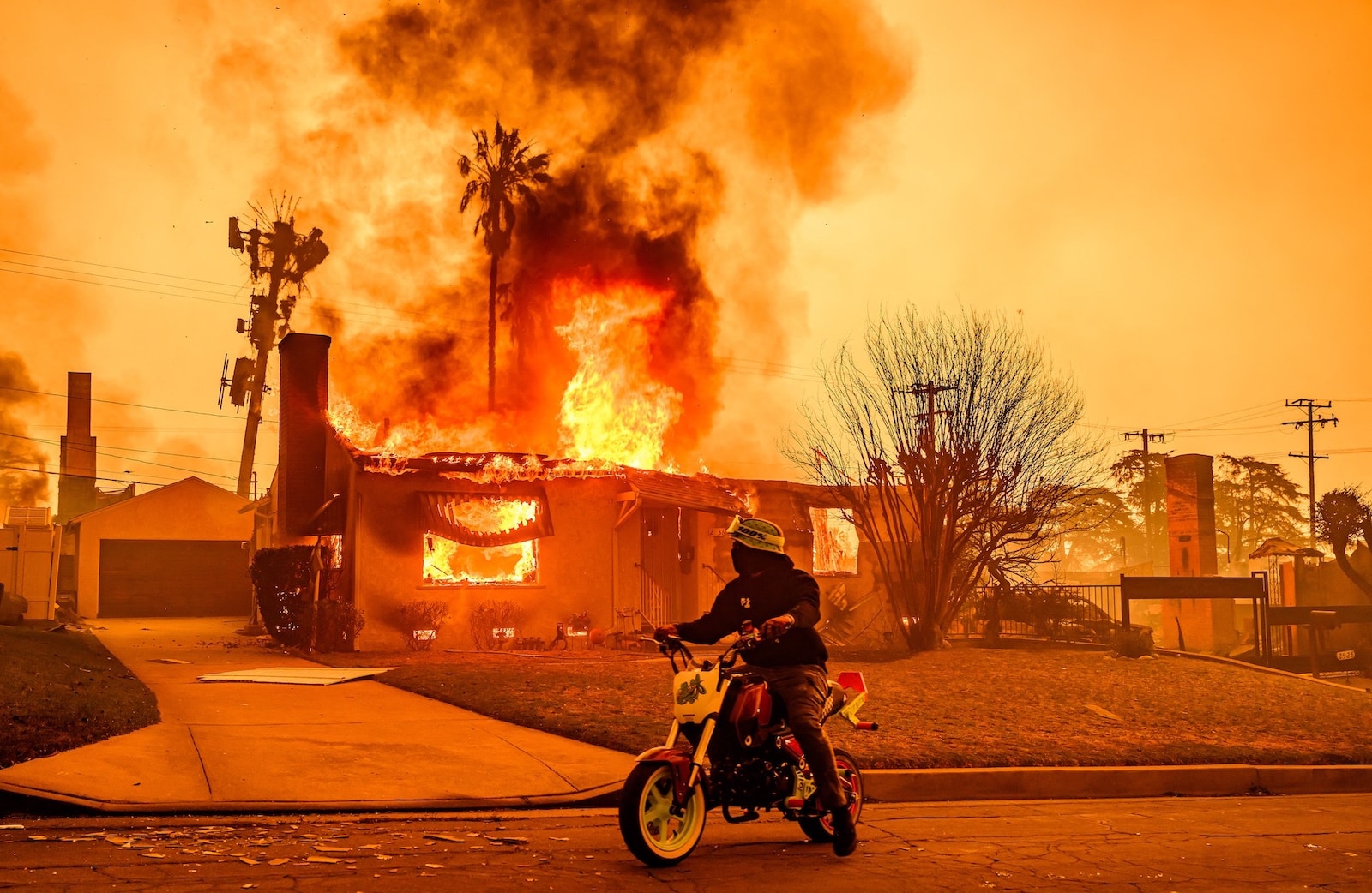 The LA fires are born from decades of human greed | Dazed