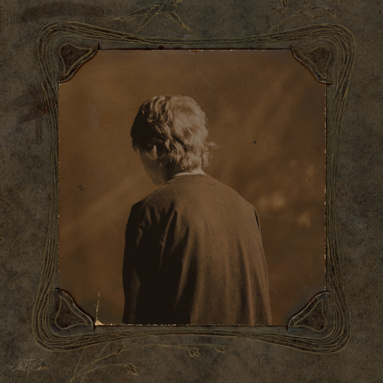 Ethel Cain announces new album, Willoughby Tucker, I’ll Always Love You ...