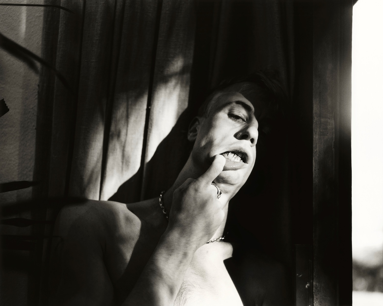 Steph Wilson, Gilded Lilies | Dazed