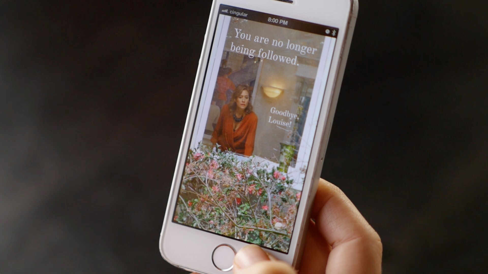 Want to be followed? This app will sort it for you | Dazed
