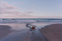 ’Kiko in Heaven’ by Alex Leese | Dazed