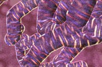 Drew Berry's Bio-Animations | Dazed