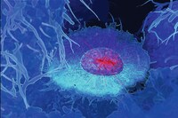 Drew Berry's Bio-Animations | Dazed