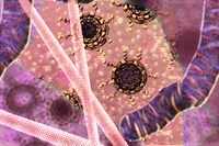 Drew Berry's Bio-Animations | Dazed