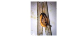 Lilia Li-mi-yan’s Nausea and Someone Wants to Devour Me | Dazed