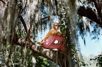 Josh Aronson’s Tropicana | Dazed