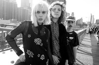 Brad Elterman’s No Dogs on Beach | Dazed