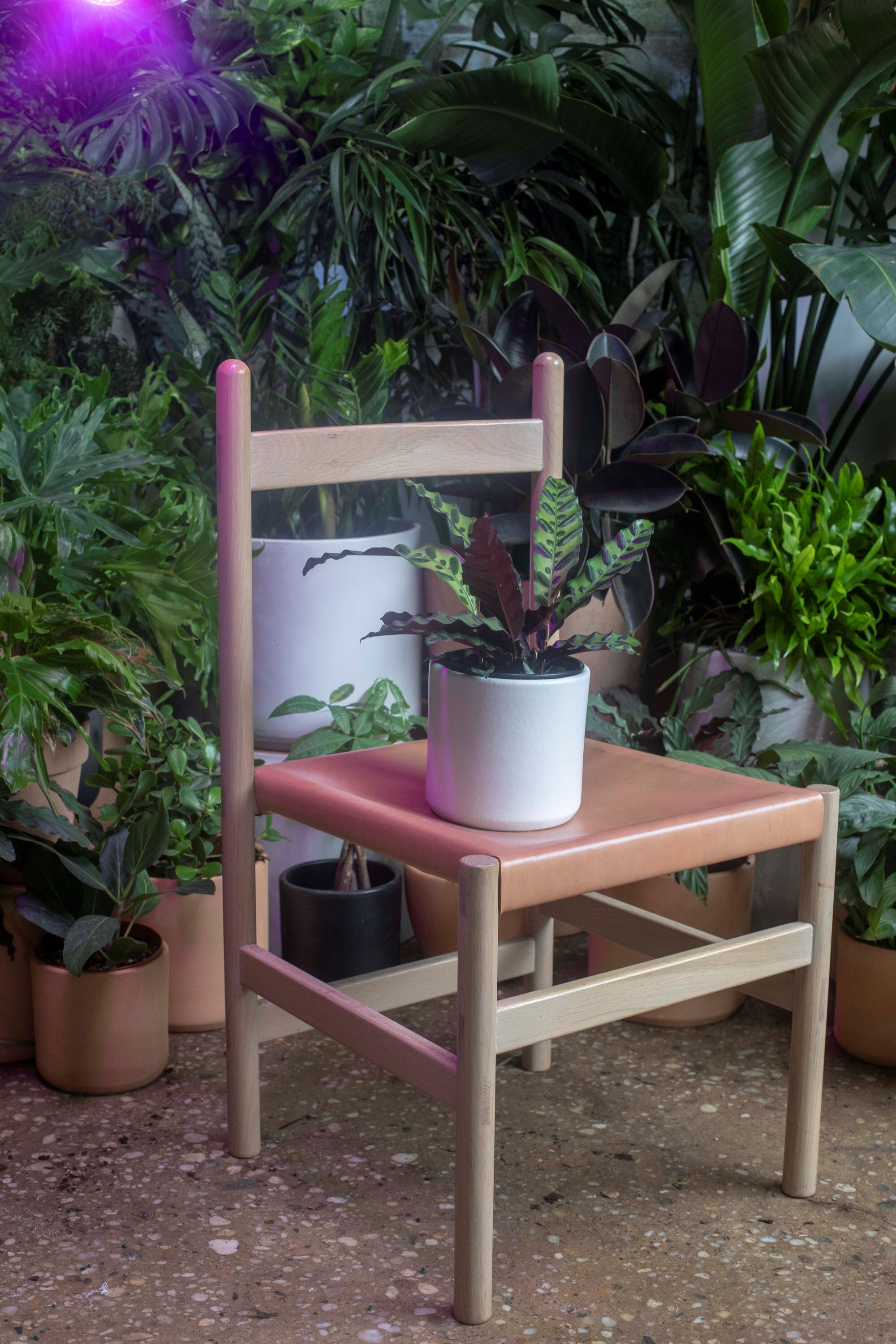 The little known wellness benefits of house plants | Dazed