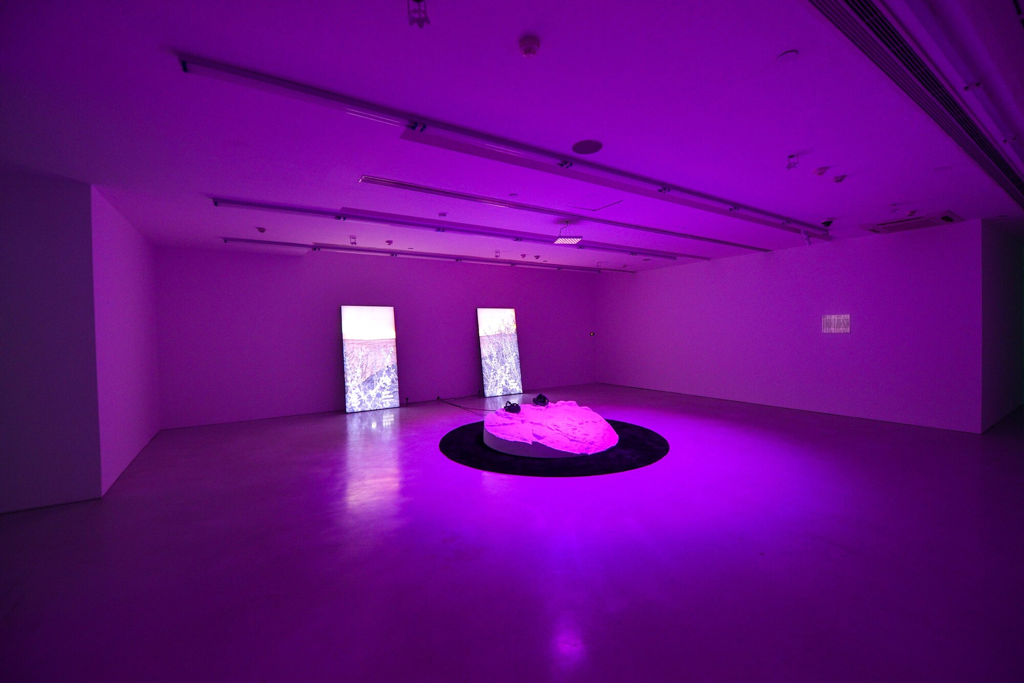 This moving-image exhibition explores nature, the human psyche ...