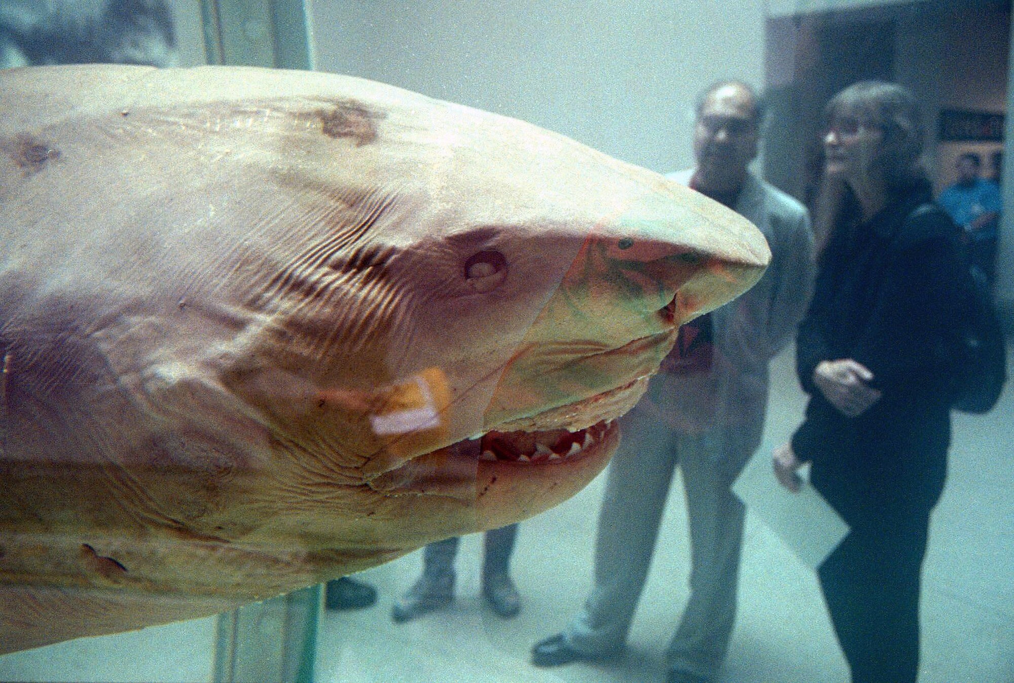 Will 3D printed human skin make animal testing for cosmetics obsolete ...